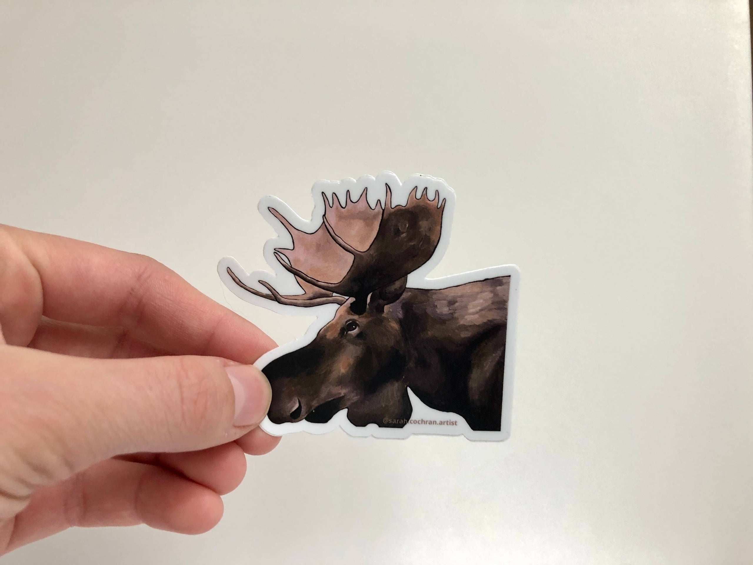 Moose Vinyl Sticker | Klondike Gift Supply